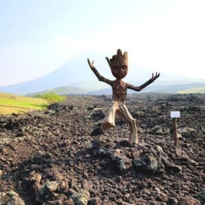 Finca El Amate Antigua Guatemala