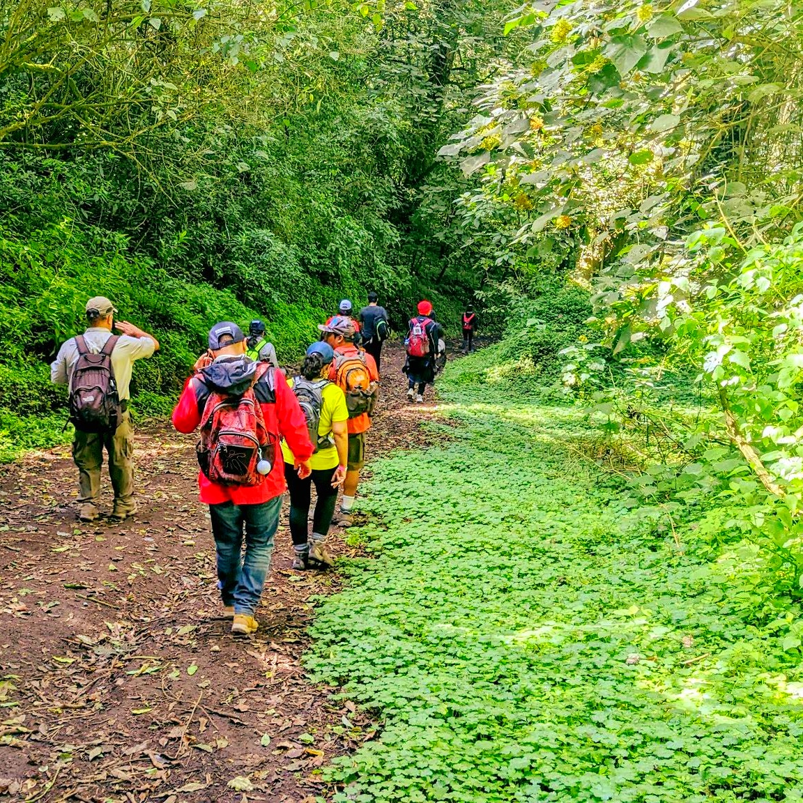 Finca El Pilar - Vida Antigua